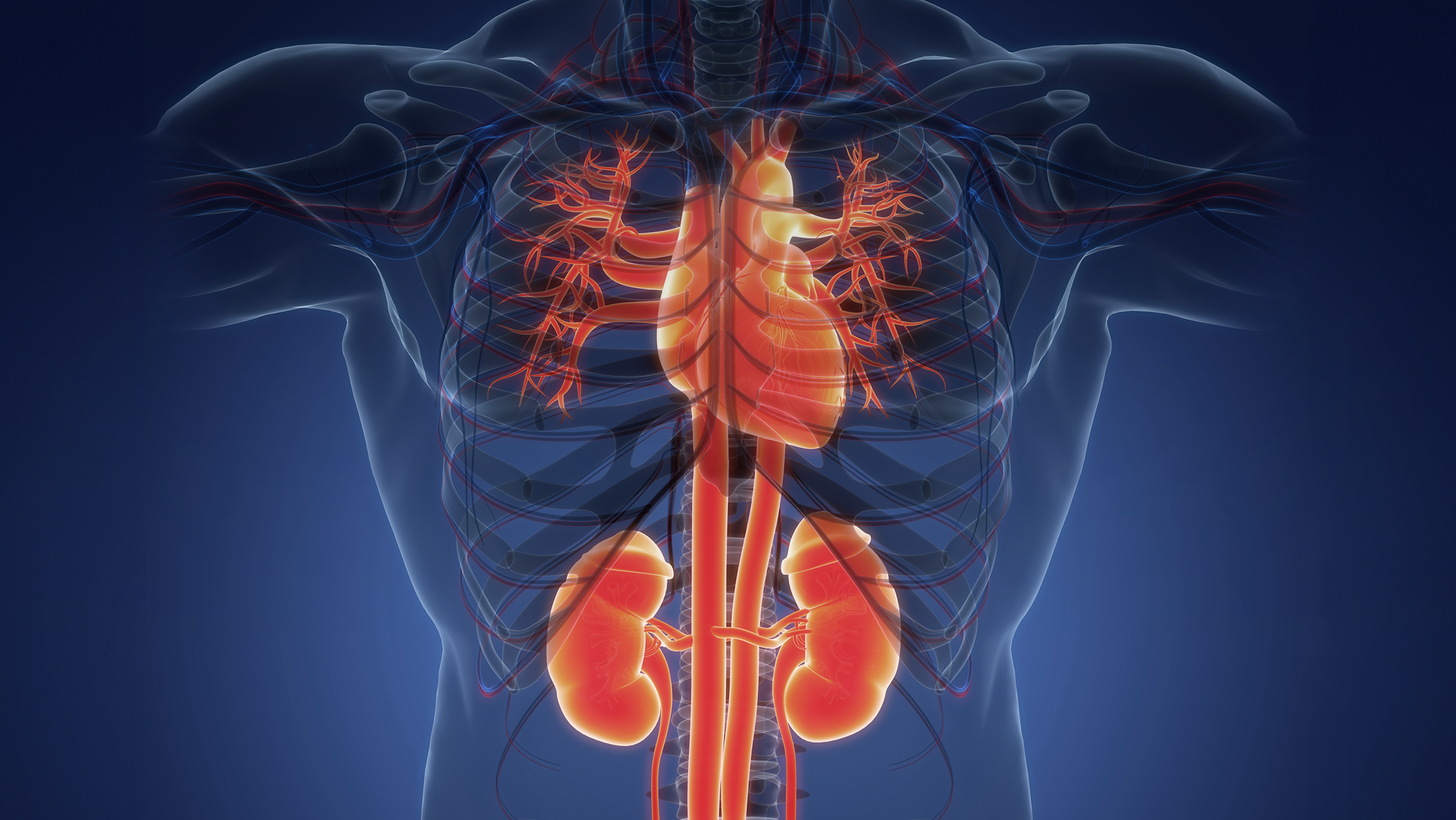 CME; finerenone, HF, heart failure, nsMRA, FINEARTS-HF, EF,