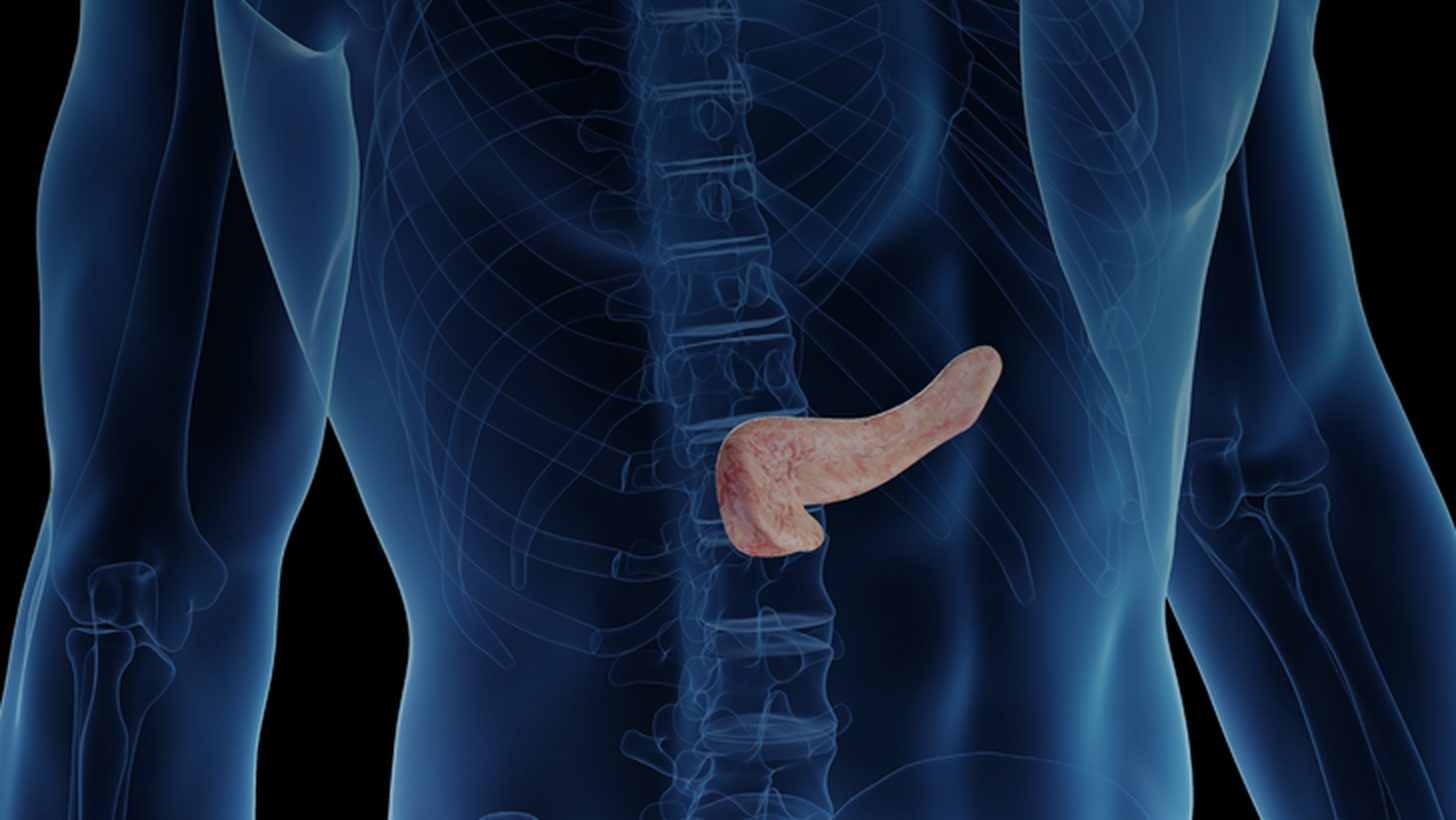 Progressing Towards Post-ERCP Pancreatitis Prevention Medical Education ...