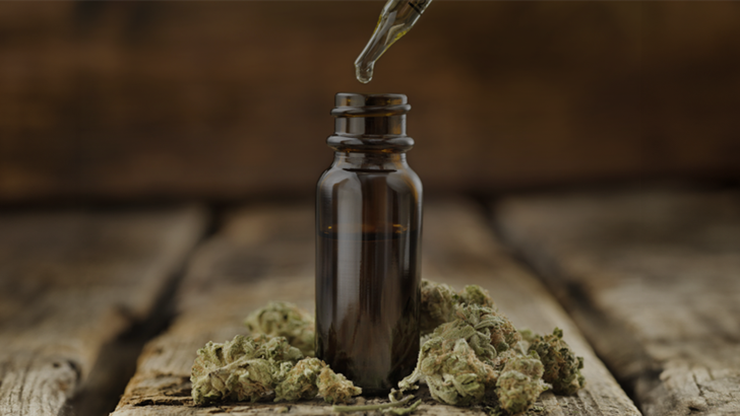 Cannabis Extract and Melanoma: Insights into Cell Death Mechanisms ...