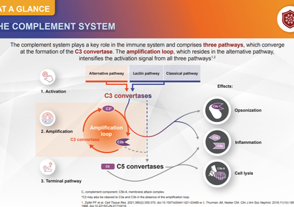 The Pathogenesis of Complement 3 Glomerulopathy (C3G)