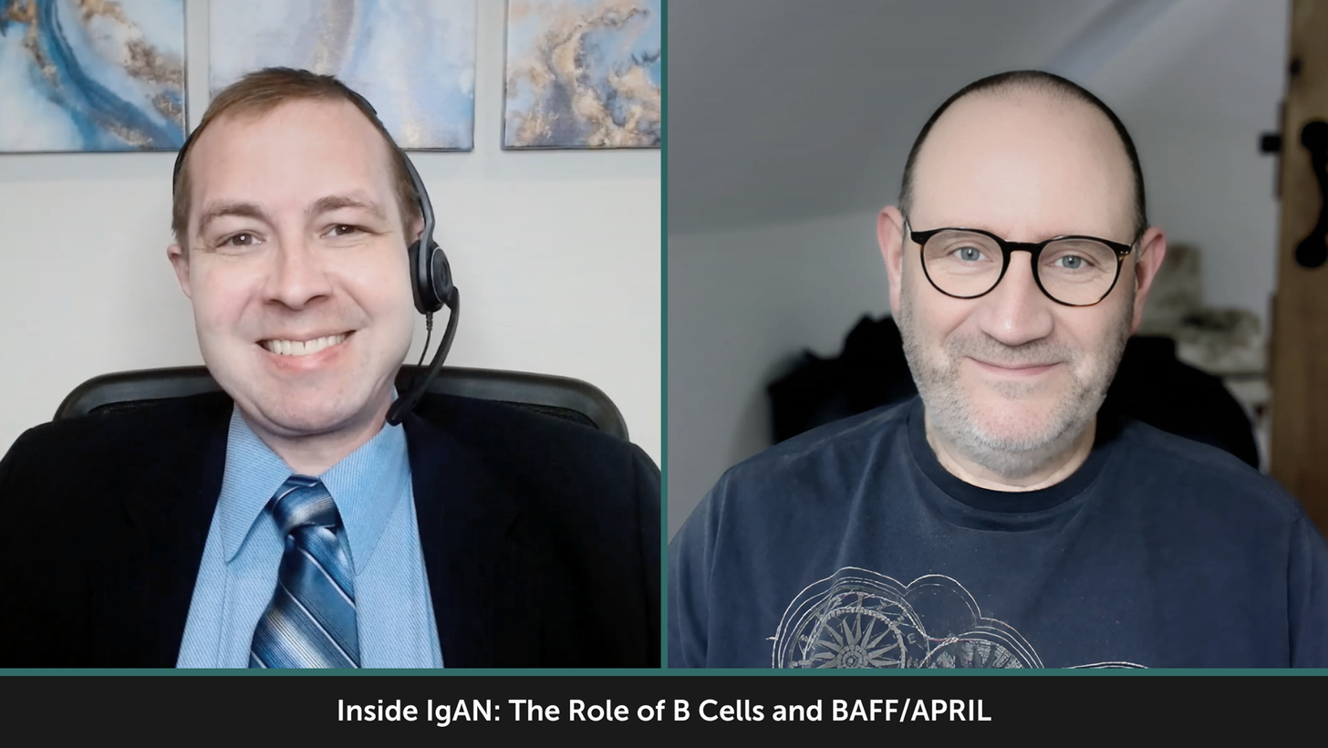 Examining Key Factors in IgAN: The Role of B Cells and BAFF