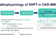 CME; SHPT, Chronic Kidney Disease, Parathyroid hormone