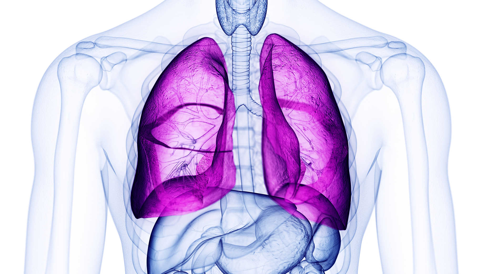 Pulmonary Medicine - ReachMD