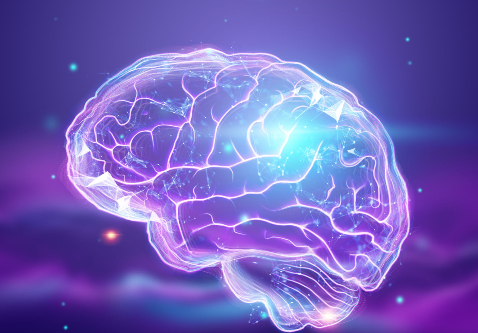 Brain Neurons Re-Entering the Cell Cycle age Quickly and Shift to ...