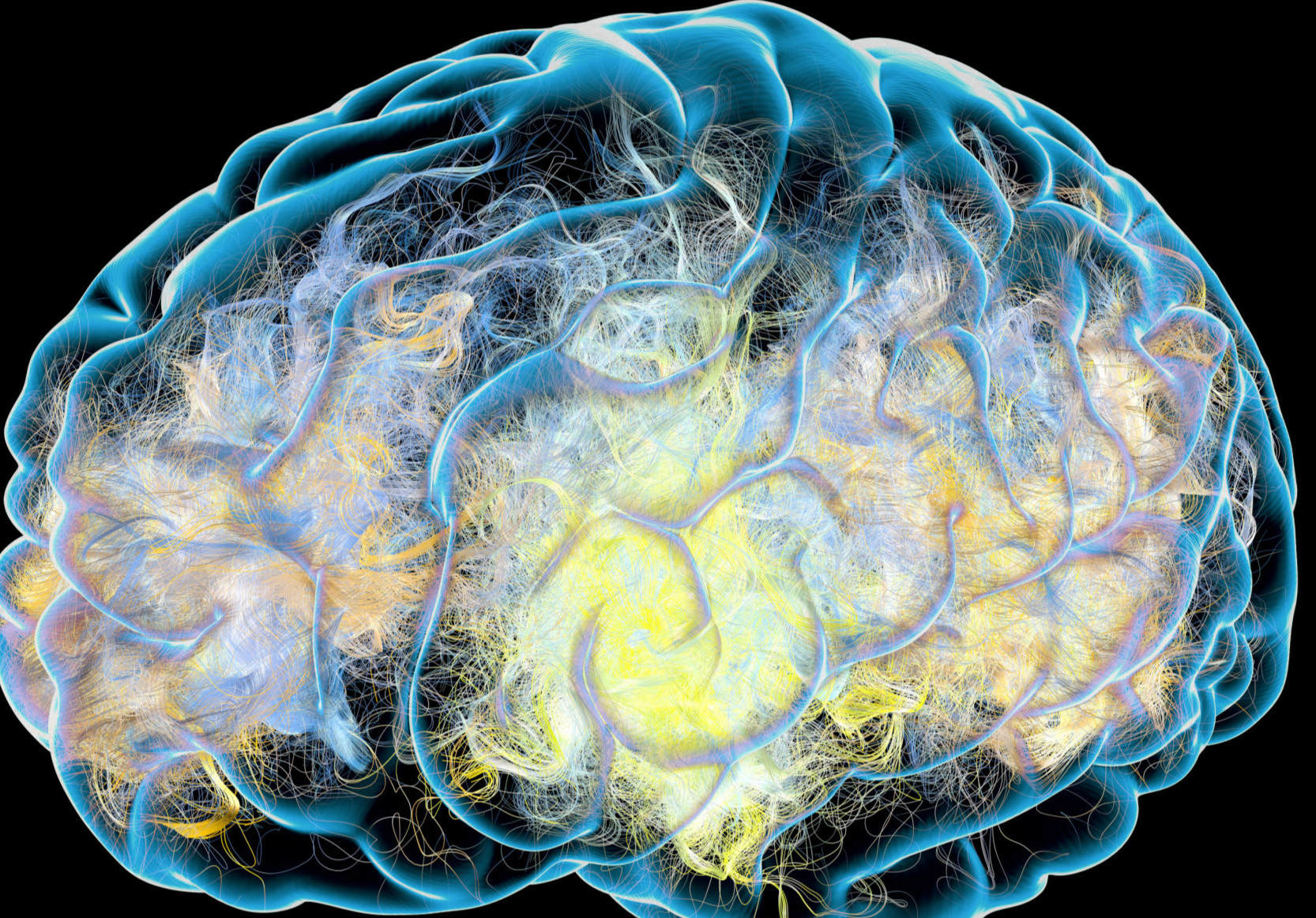 Boosting Brain Protein Levels May Slow Decline from Alzheimer's - Be ...