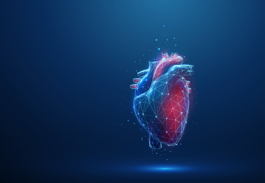 Cardiac CECT Can Accurately Localize Fatty Tissue in Heart, Paving Way ...