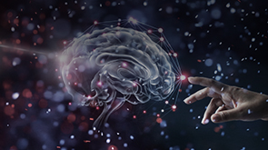 Exploring the Brain's Uncharted Endorestiform Nucleus