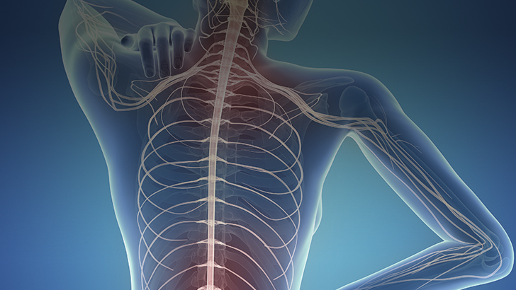 Expanding Options for the Management of Multiple Sclerosis