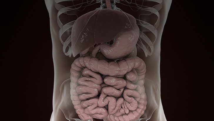 How Can We Ensure Quality in Endoscopy Units?