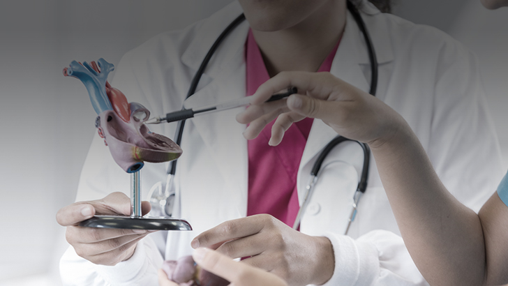 What do we need to know about a career in cardiology?