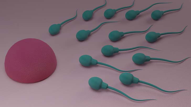 A Look at the Emerging Field of Oncofertility Medical Education on ReachMD