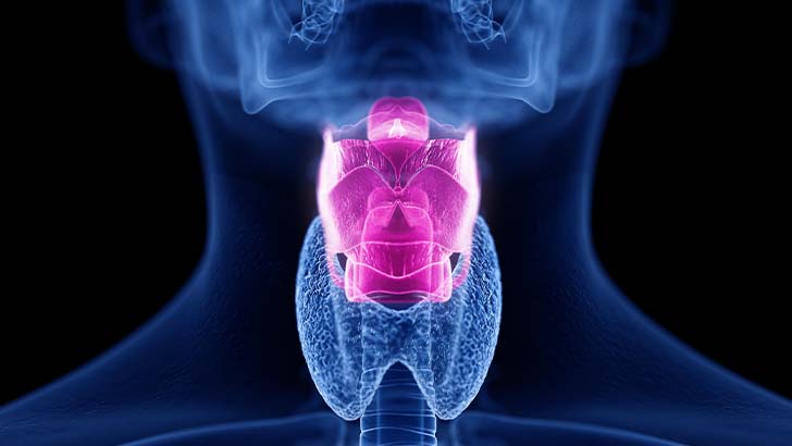 Diving Into Dysphonia & Vocal Fatigue: A Conversation on Voice Problems ...