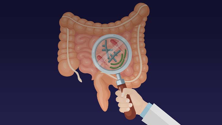 Assessing the Availability of H. Pylori Testing Medical Education on ...