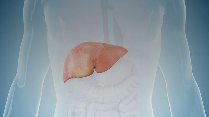 Exploring AACE Updates on the Management of NAFLD & NASH