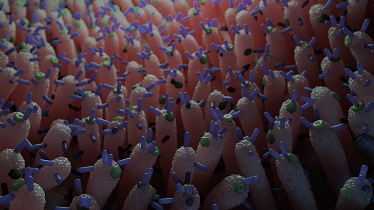 What to Know About the Microbiome & Probiotic Use Medical Education on ...