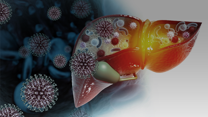 CME: HElp! AASLD Guidelines Related to Diagnosis of HE Medical ...