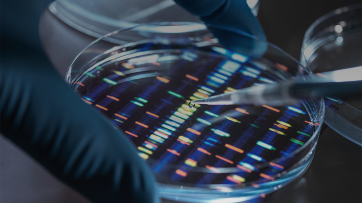 Decoding Risk: Genetic Testing in High-Risk Colon Cancer Patients ...