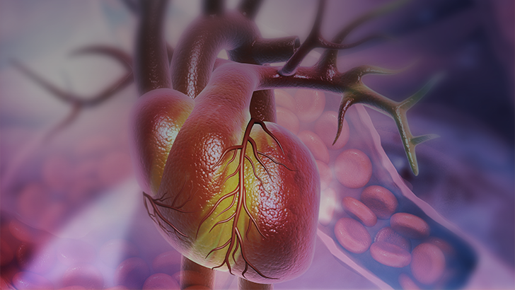 CME: Annulus, Aortic Stenosis, TAVR, OPERA, transcatheter