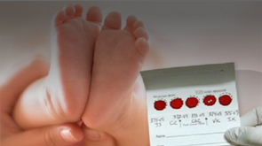 Beyond the Blood Spot: Newborn Screening for Hearing Loss and Critical ...