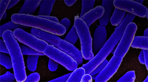 Scientists Uncover Ancient Bacterial Resistance From Era Before ...