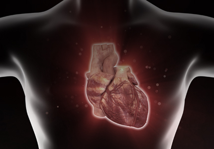 Identifying Unstable Coronary Plaques Medical Education on ReachMD