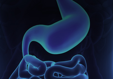 Novel Perspectives on Inflammatory Bowel Disease: Focus on Microbiomes ...