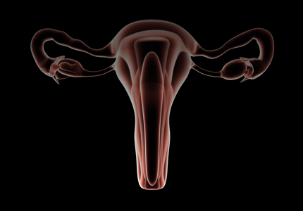 Video: Using Endosee for Diagnostic Hysteroscopy Medical Education on ...